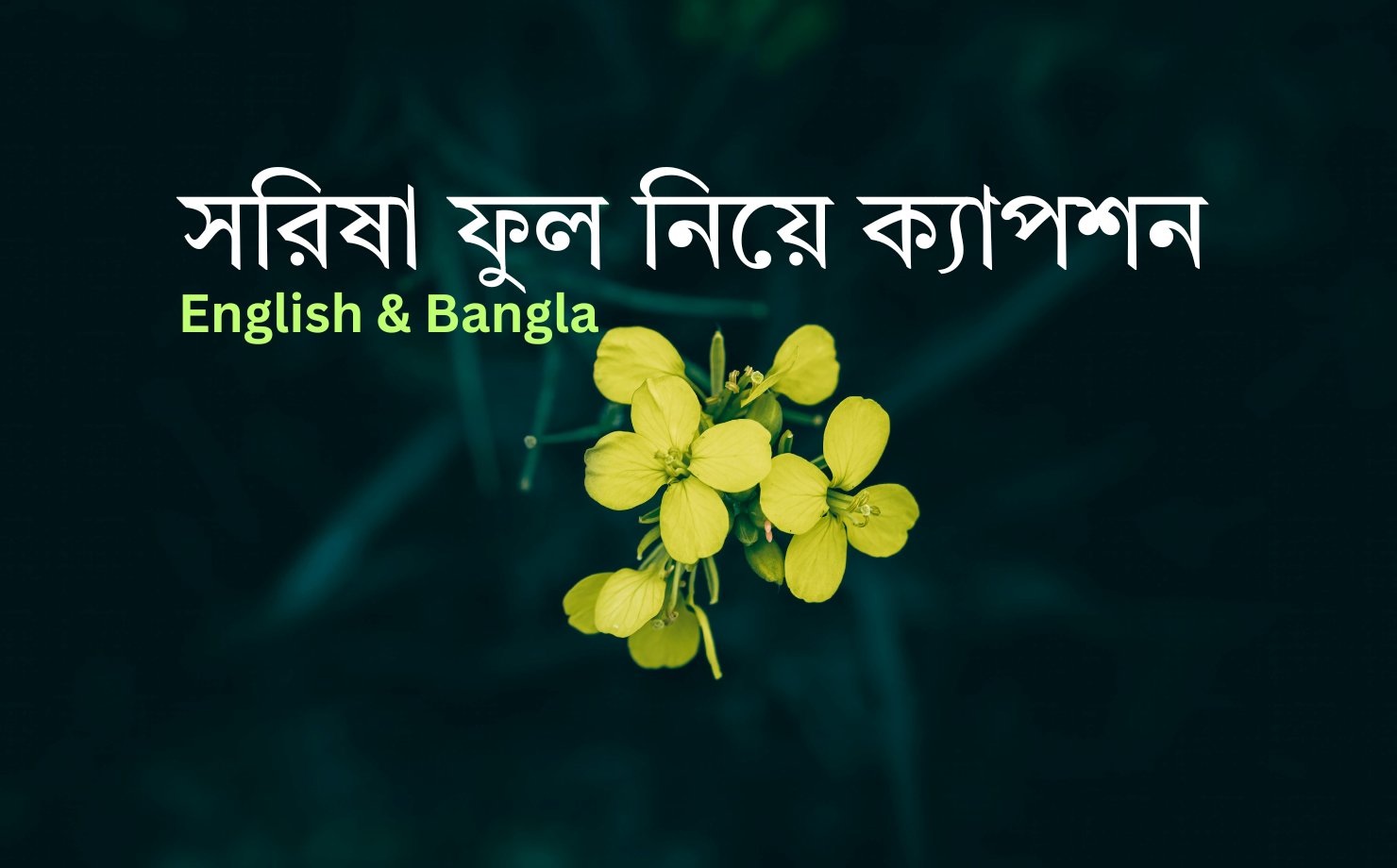 সরিষা ফুল নিয়ে ক্যাপশন বাংলা ও Sorisha Ful Niye Caption quotes English ...